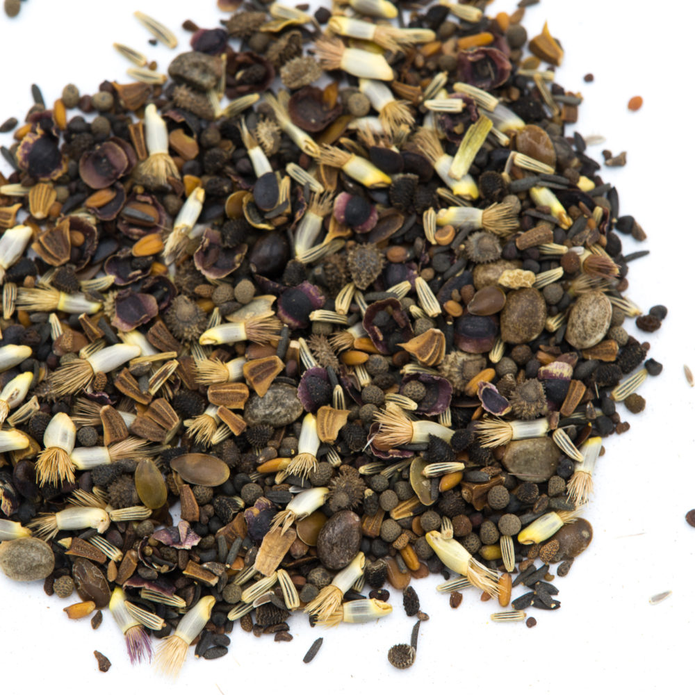 Wildflower Seed Mixes – LeBallister's Seed & Fertilizer