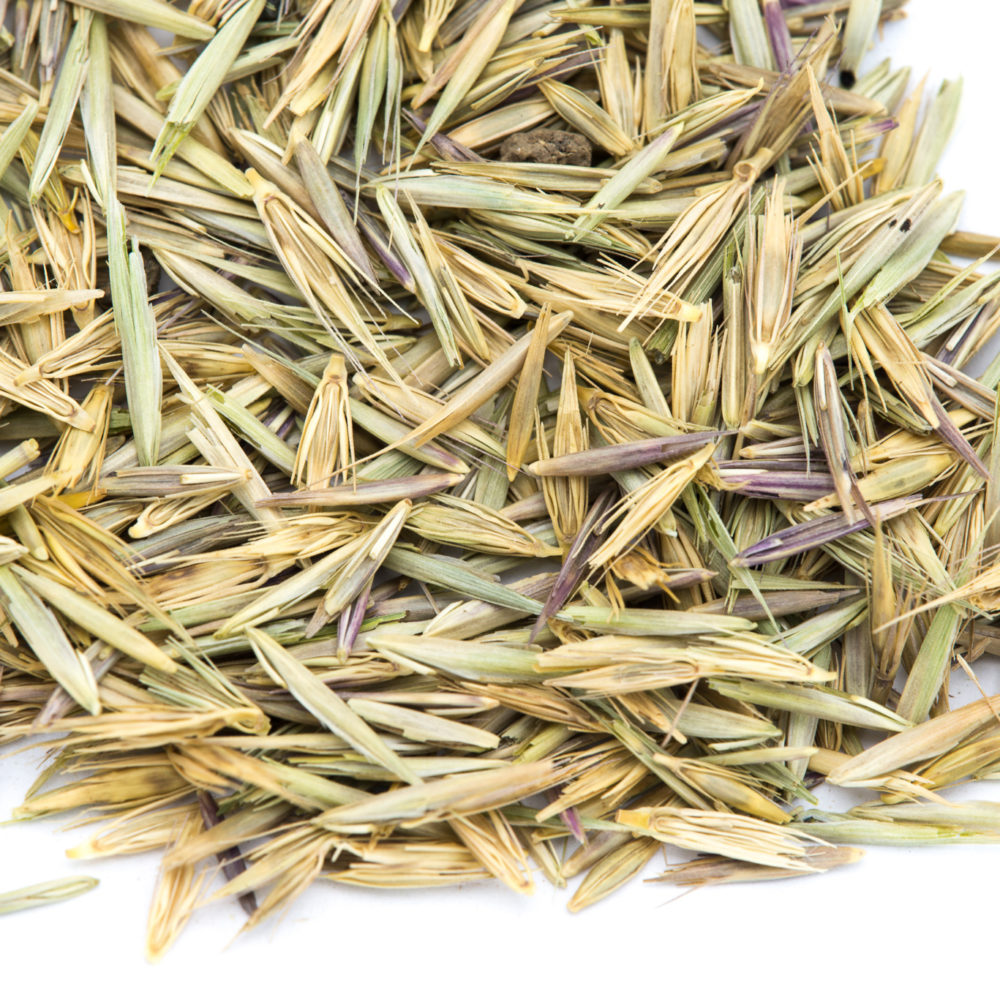 Native Grasses – LeBallister's Seed & Fertilizer