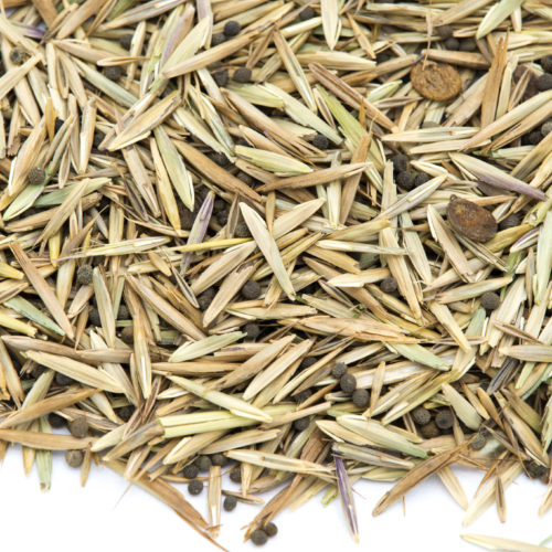 Native Grasses – LeBallister's Seed & Fertilizer