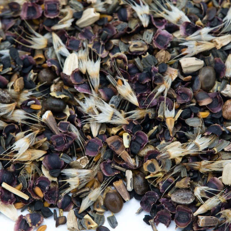 Wildflower Seed Mixes – LeBallister's Seed & Fertilizer
